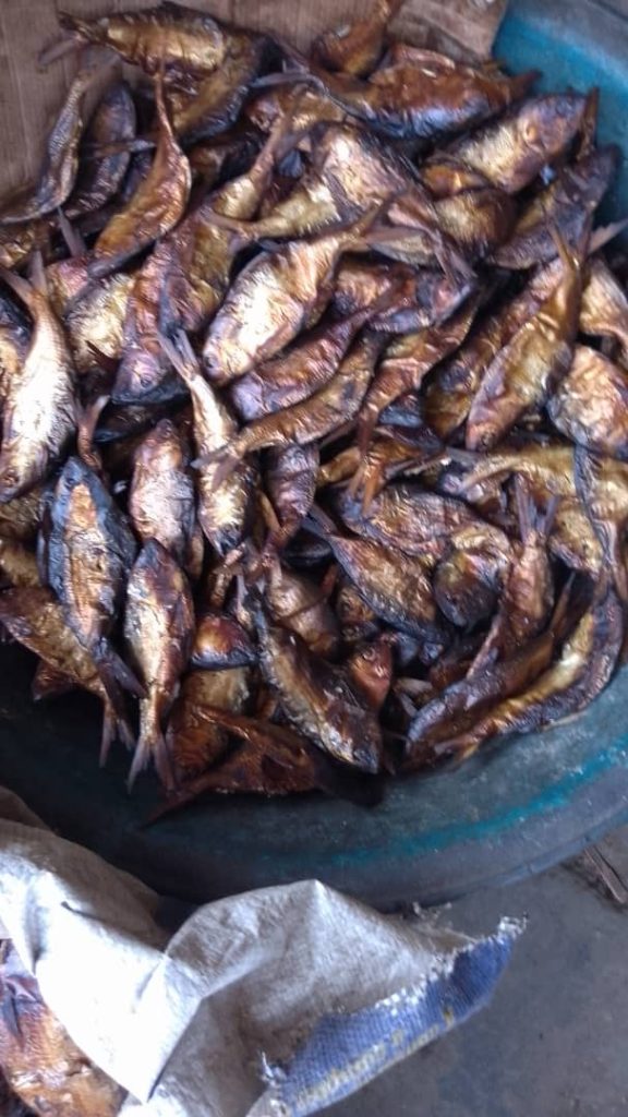 Bonga Fish: A Cameroonian Culinary Staple – Euro Afri Link